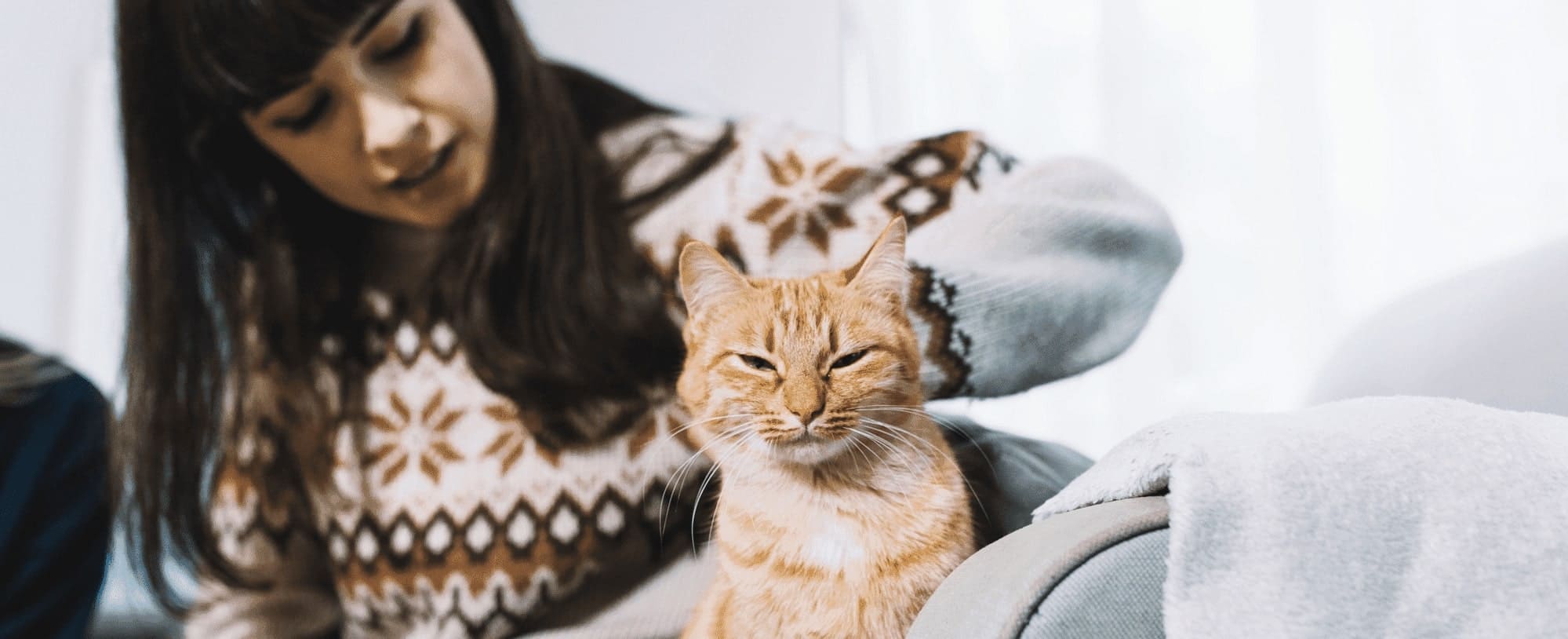 Hôtel pour Chat : Trouvez en un près de chez vous